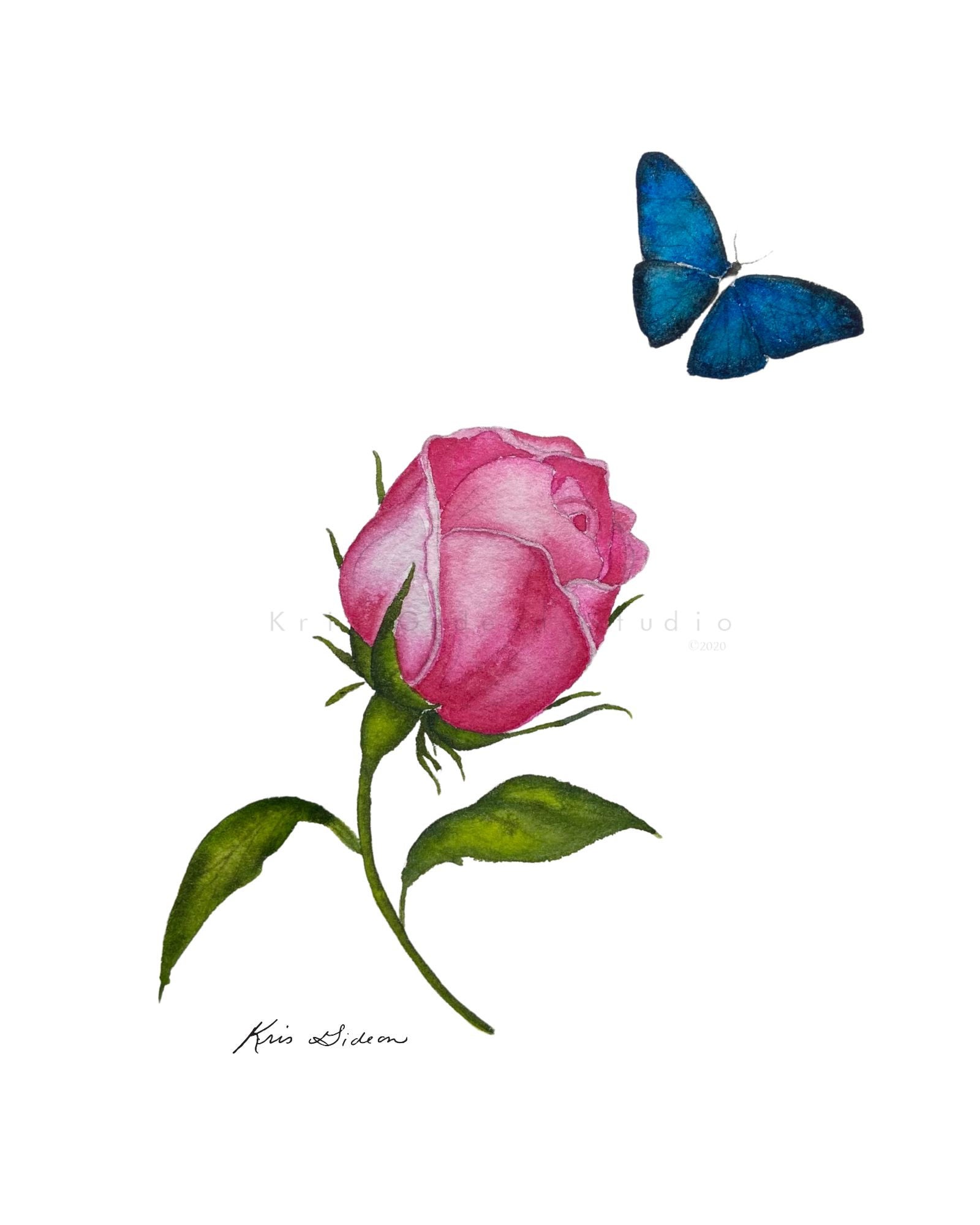 how to draw a rose and butterfly