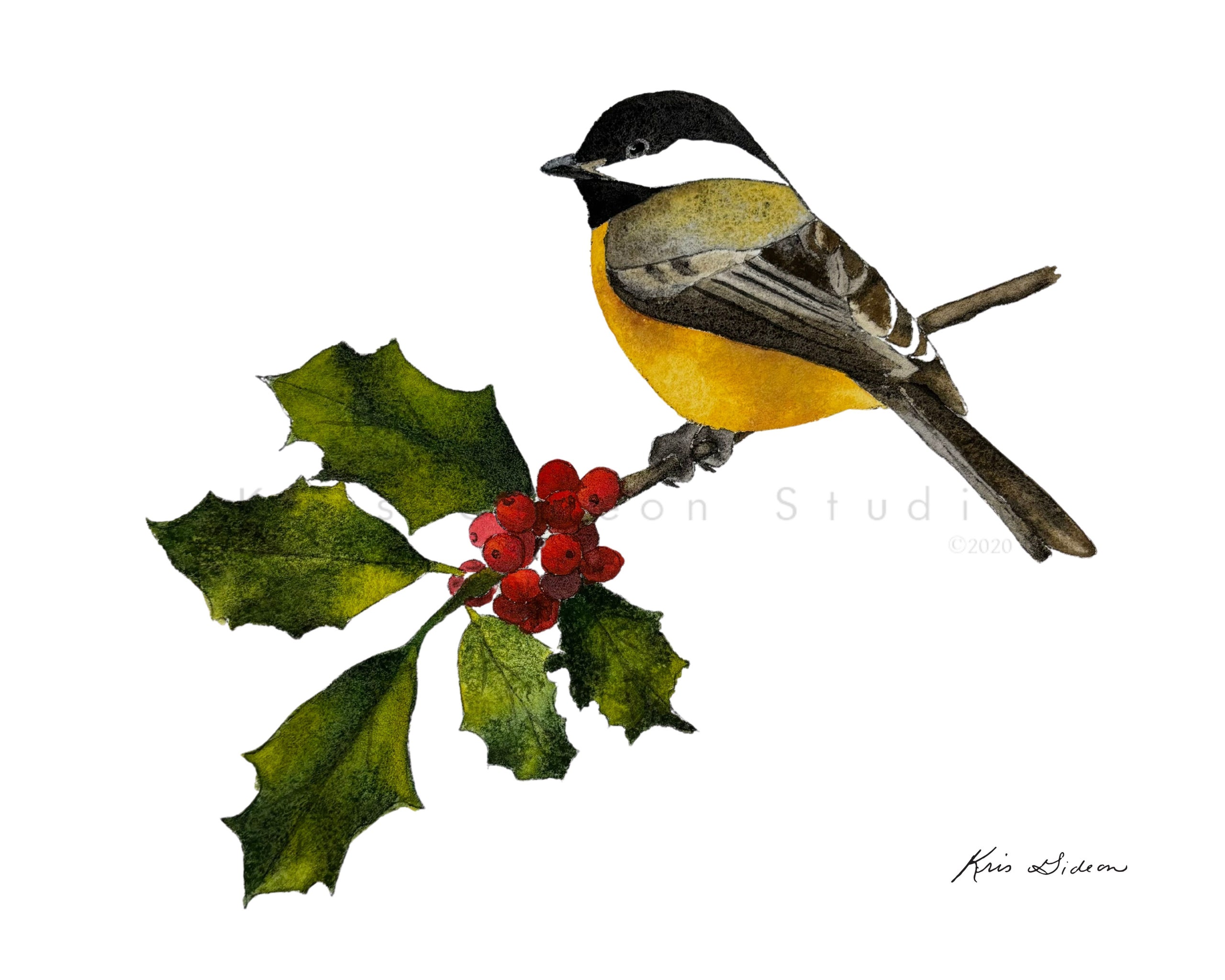 6 Available Spots. 2/26/25 Chickadee | Kris Gideon